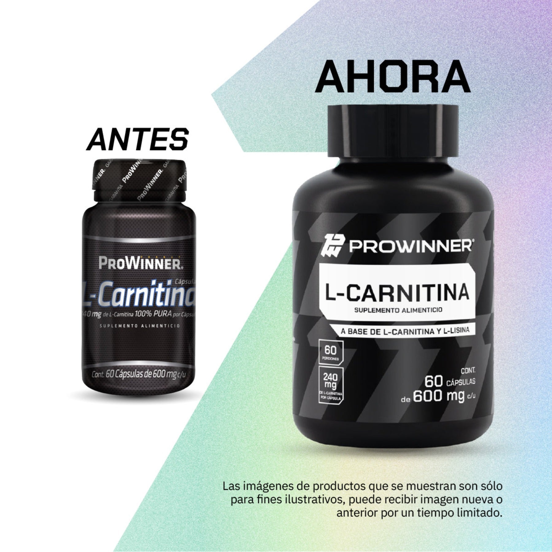 L-Carnitina 60 Cápsulas - ProWinner